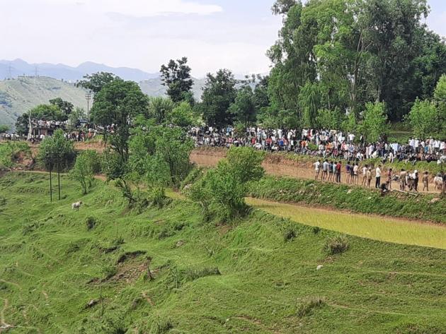 Social distancing goes for a toss as bull race attracts 3,000 ...