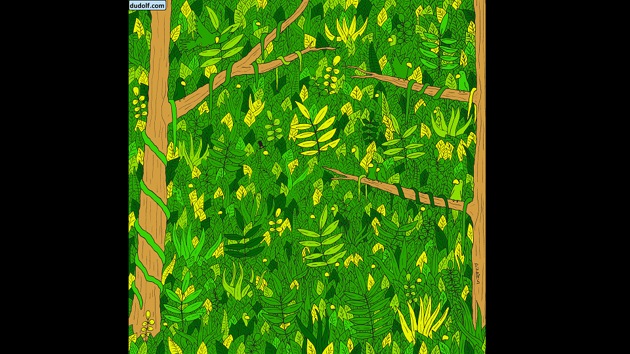 How quickly can you find the snake hidden in this jungle? | Trending