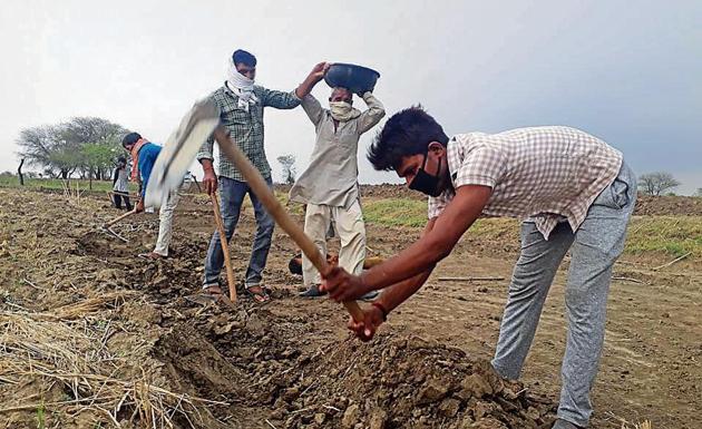 Lapses surface as MNREGS expands, govt acts tough | Hindustan Times