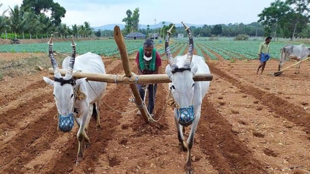 Farmers start sowing Kharif crops in Kalaburagi | Bengaluru