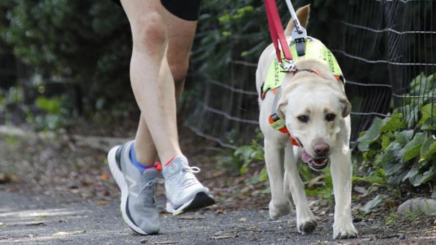 Guide dogs help keep blind runners healthy and fit despite pandemic ...
