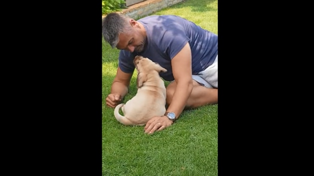 Video of hooman playing with a tiny doggo is as adorable as it sounds ...