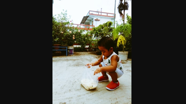 1-year-old boy feeds sparrows, it’s the happy content you didn’t know ...