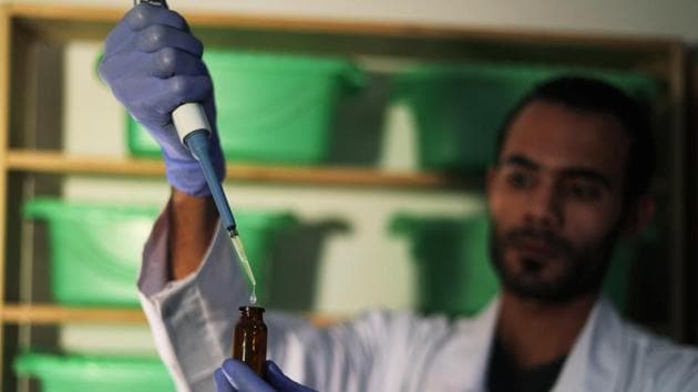 Young Egyptian man farms scorpions and snakes for venom, builds export ...