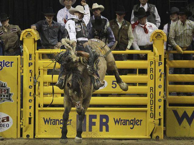 Rowdy Rodeo | Hindustan Times