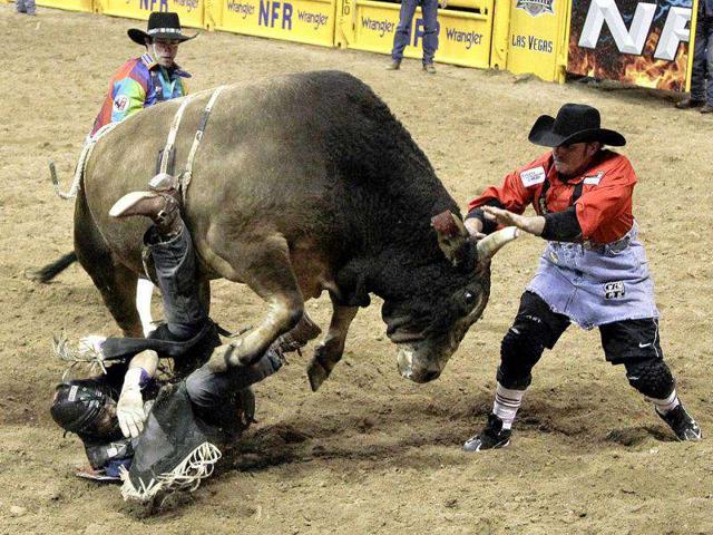 Rowdy Rodeo | Hindustan Times