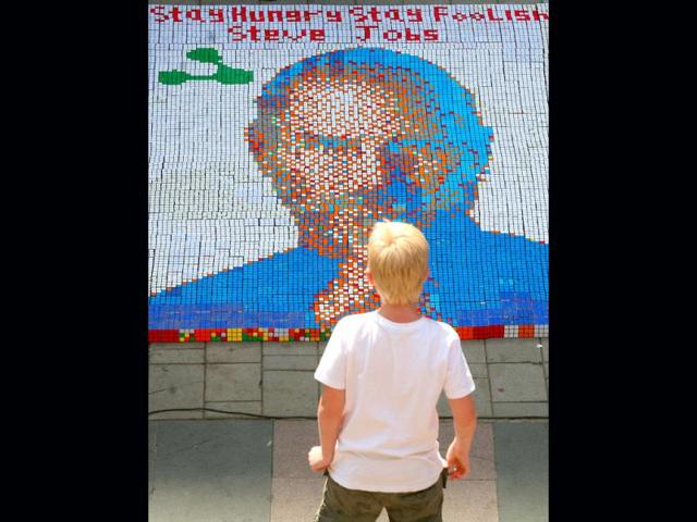 Rubik's Steve | Hindustan Times