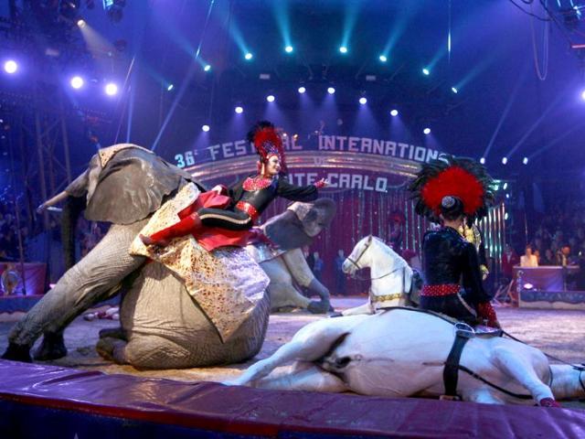 Monte Carlo circus fete | Hindustan Times
