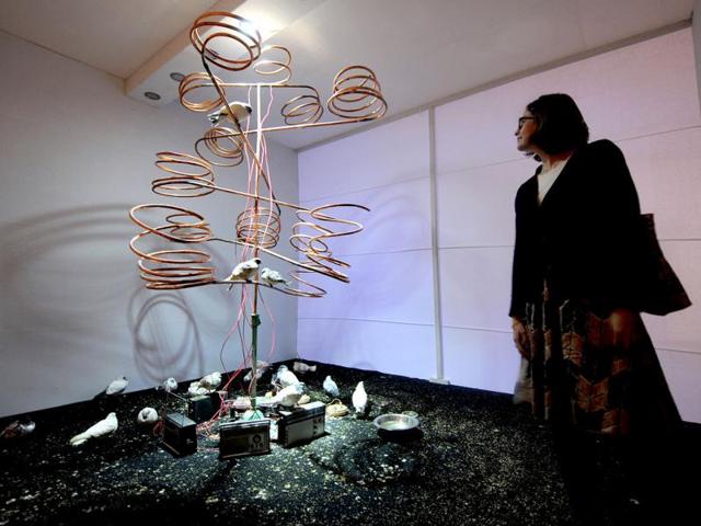 Artiste in soup for confining pigeons | Latest News India