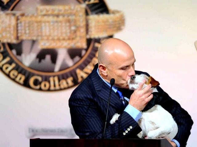 Golden Collar Awards | Hindustan Times