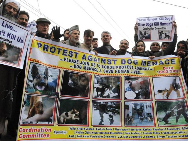 Kashmir protests against dogs | Hindustan Times