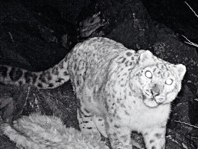 Feb 29: Day in pics | Hindustan Times