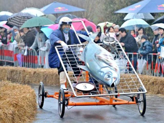 Box cart race! | Hindustan Times