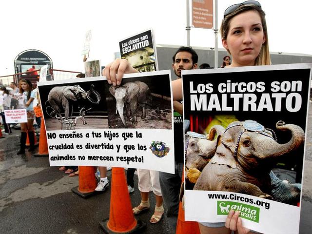 Humans for animals | Hindustan Times