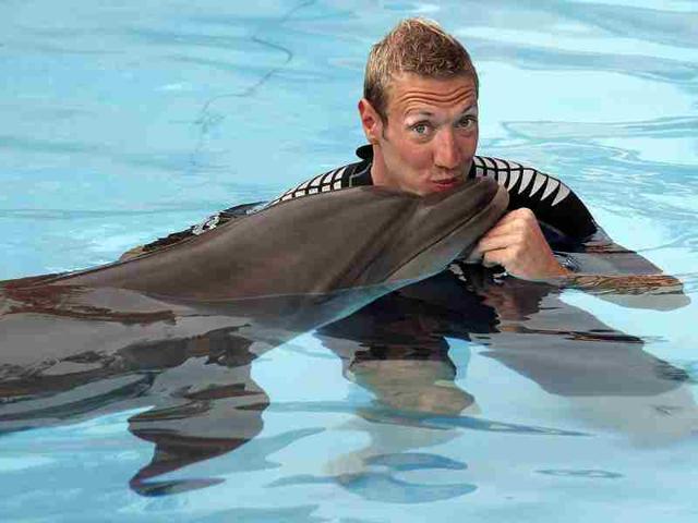 Swimming with dolphins | Hindustan Times