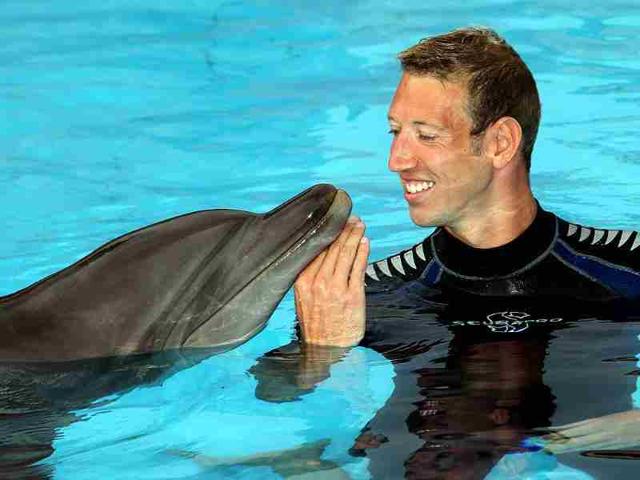 Swimming with dolphins | Hindustan Times