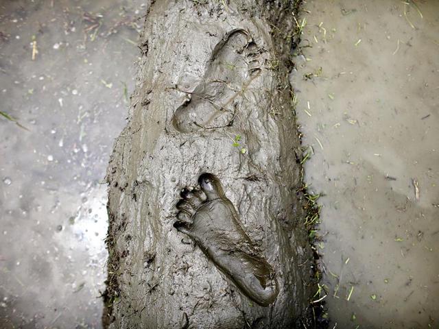 Fun at the sowing field | Hindustan Times