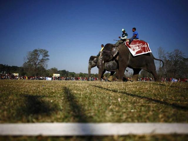 Sporty Jumbos | Hindustan Times