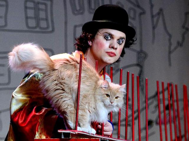 Moscow's Cat Theatre... Meow! | Hindustan Times