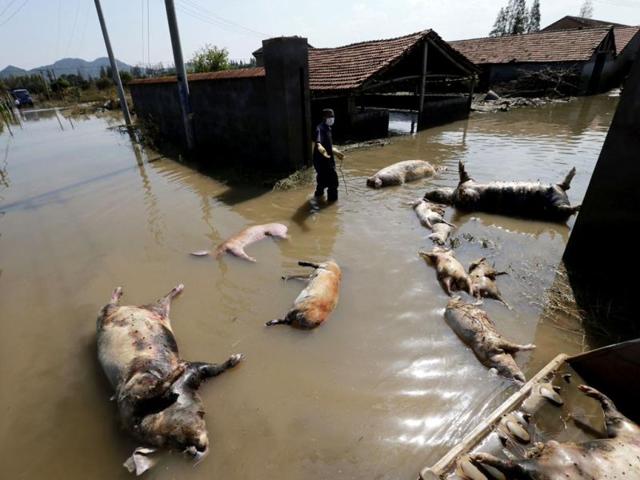 Typhoon Nari hits Vietnam | Hindustan Times