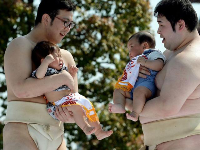 Its Sumo wrestlers vs bawling babies! | Hindustan Times