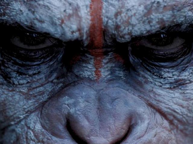 Dawn of the Planet of the Apes: Ceaser's back | Hindustan Times