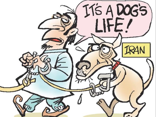 Iran dog lovers face 74 lashes, fines under new law | World News ...