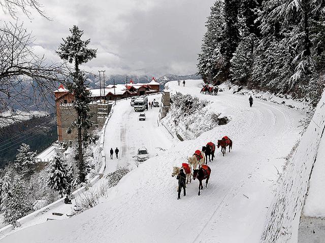 Shimla: Day's high temperature increases by 1°C to 2°C | Hindustan Times