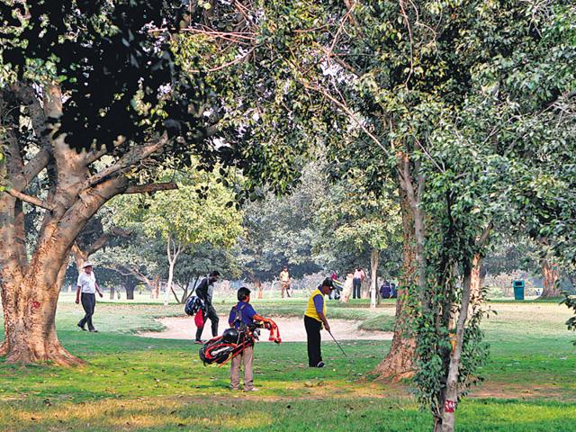 Green court stalls tree felling for Qutab Golf Course | Latest News Delhi