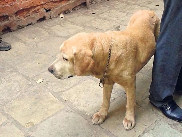 HT Impact: Mumbai police draft fresh proposal to take care of retired ...