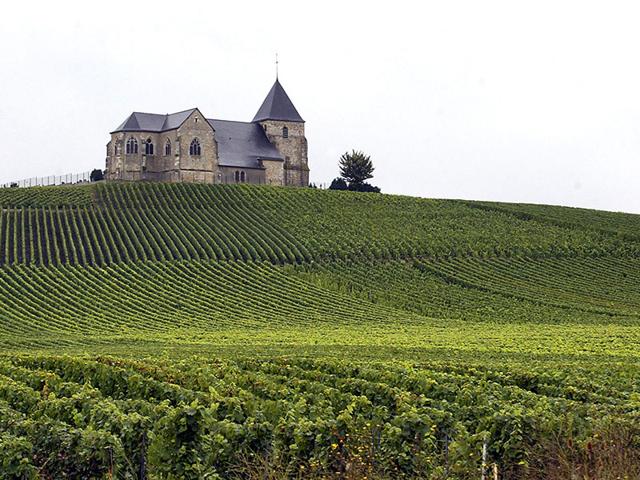 French champagne vineyards added to Unesco's World Heritage Sites ...