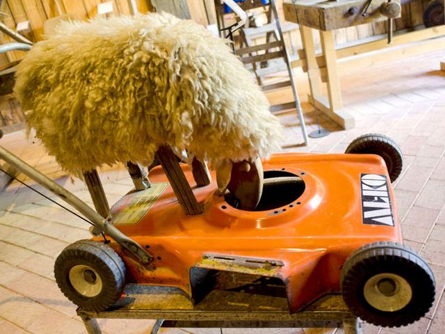 What nonsense! Museum in Austria displays absurd creations | Hindustan ...