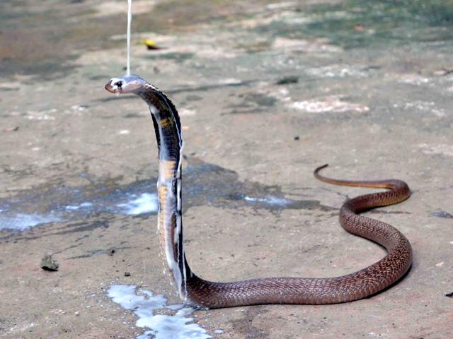 Mumbai in pics | Hindustan Times