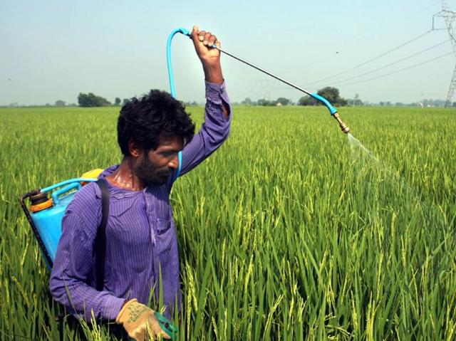 Another pesticide ‘scam’ leaves farmers rattled | Hindustan Times
