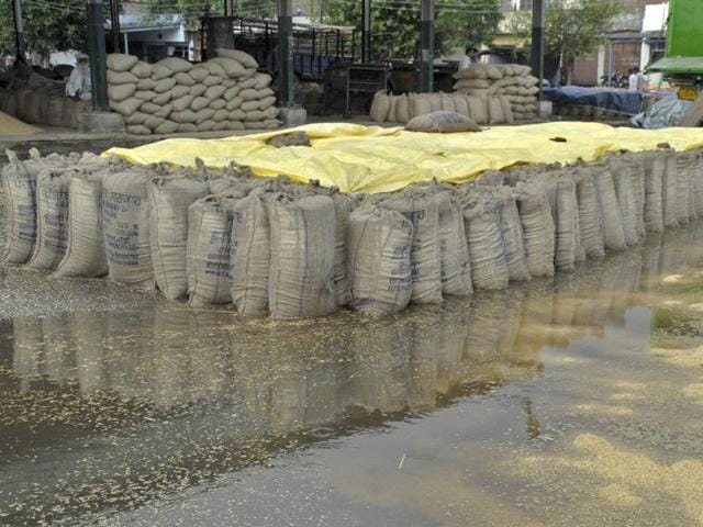 Freak weather damages paddy crop, hits harvesting | Hindustan Times