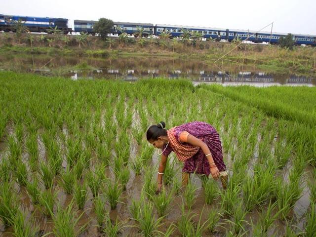 India must work with US to fuel its second green revolution | Hindustan ...
