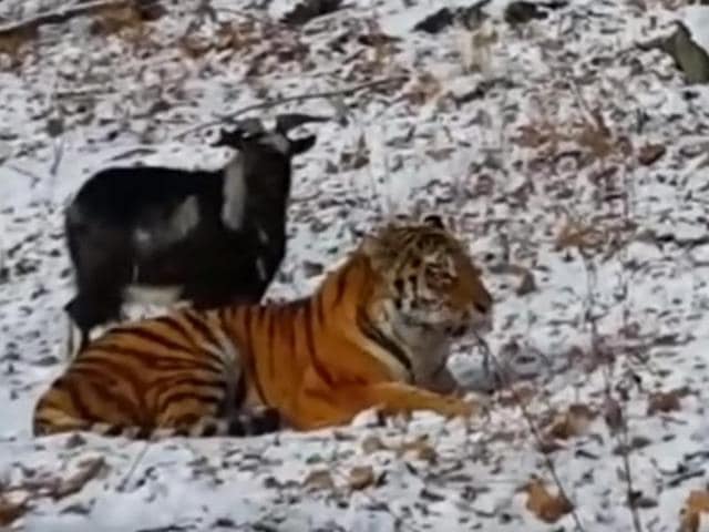 Page 1691 - News Videos Online: Watch Today’s News Clips, War Videos ...