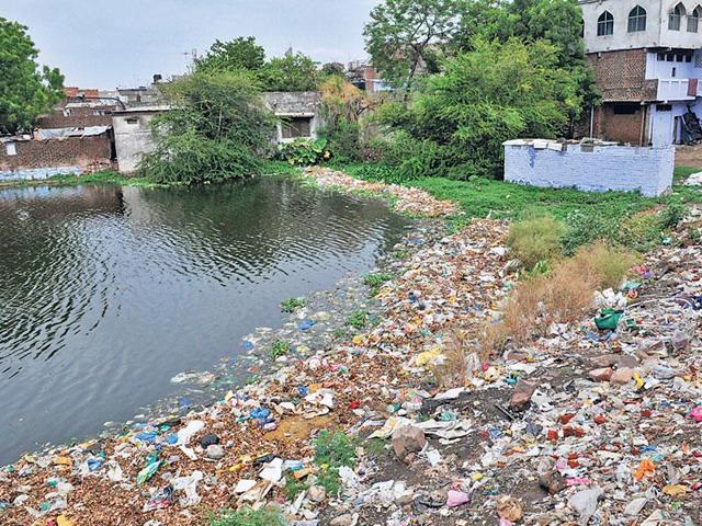 MP: Implementing blanket ban on polythene from Jan 1 to be a challenge ...