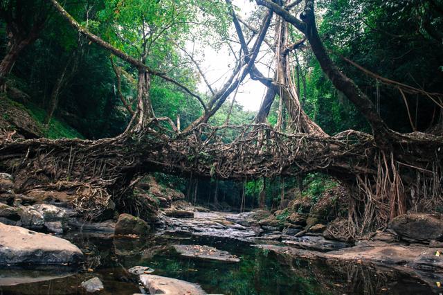 Scotland of the east: Getting into the nature, culture of Shillong | Travel