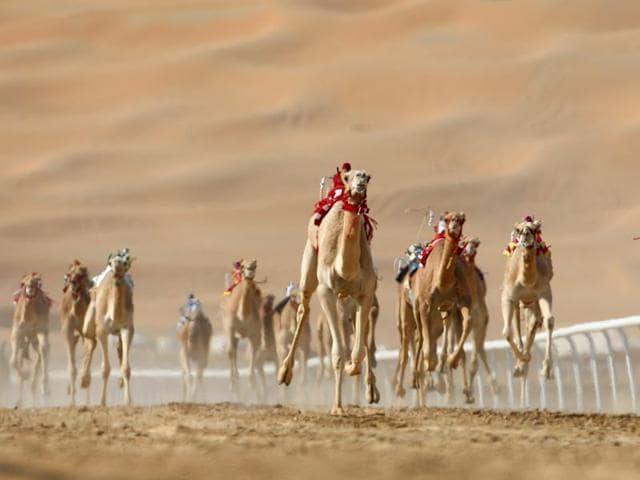 Just deserts: Check out the Moreeb Dune Festival in Abu Dhabi ...