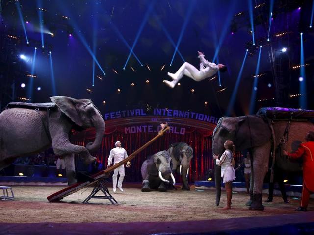 Run, jump, slide, dance... at the Monte-Carlo circus | Hindustan Times