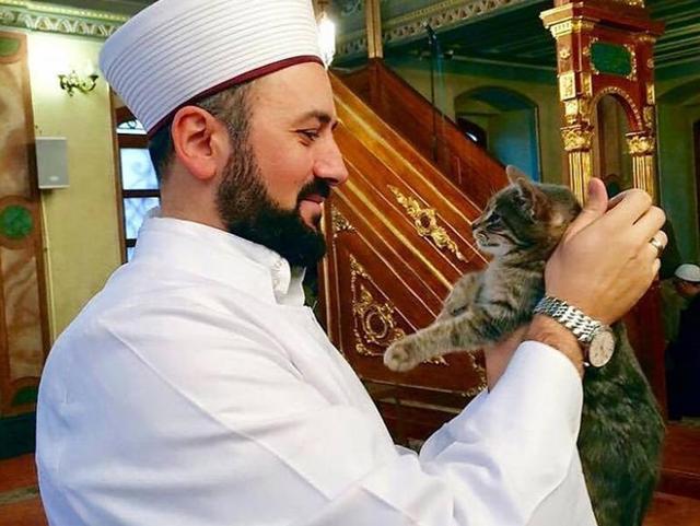 Istanbul: Kitty-loving imam opens doors of mosque to stray cats | World ...