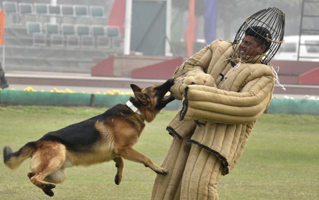 In pics: Army dogs to march on Republic Day parade after 26 years ...
