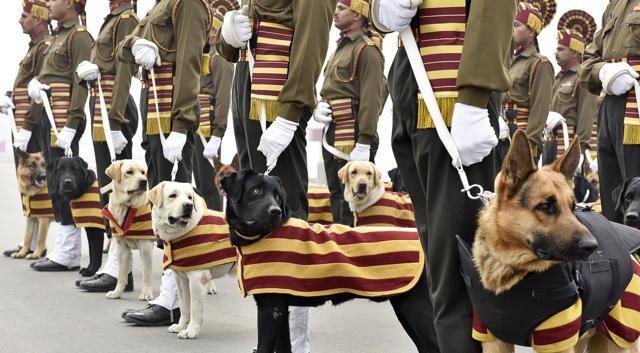 In pics: Army dogs to march on Republic Day parade after 26 years ...
