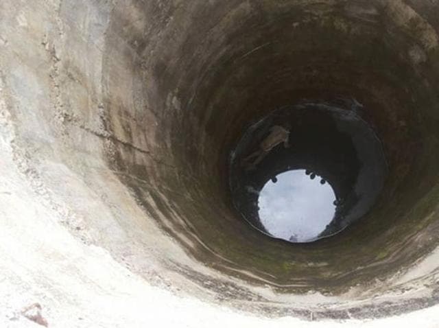 TN: 19-year-old woman student’s body found floating in college well ...