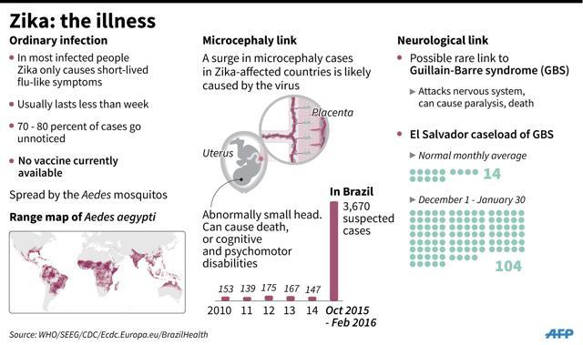 Zika virus may hide in organs protected from the immune system | World News