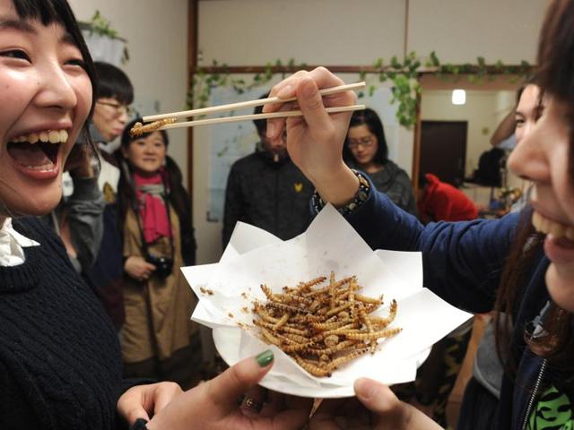 Snacking on bugs: Students at Yokohama, Japan, show how | Hindustan Times