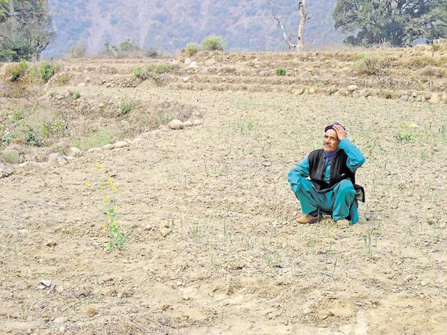 Uttarakhand records 67% rain deficit this winter - Hindustan Times