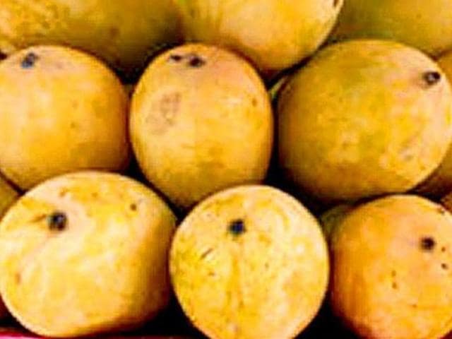 Inami Bagh: 37 mango varieties, pre-Partition history mark new heritage ...