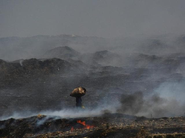 25% rise in pollution-related ailments after Deonar fire | Mumbai news